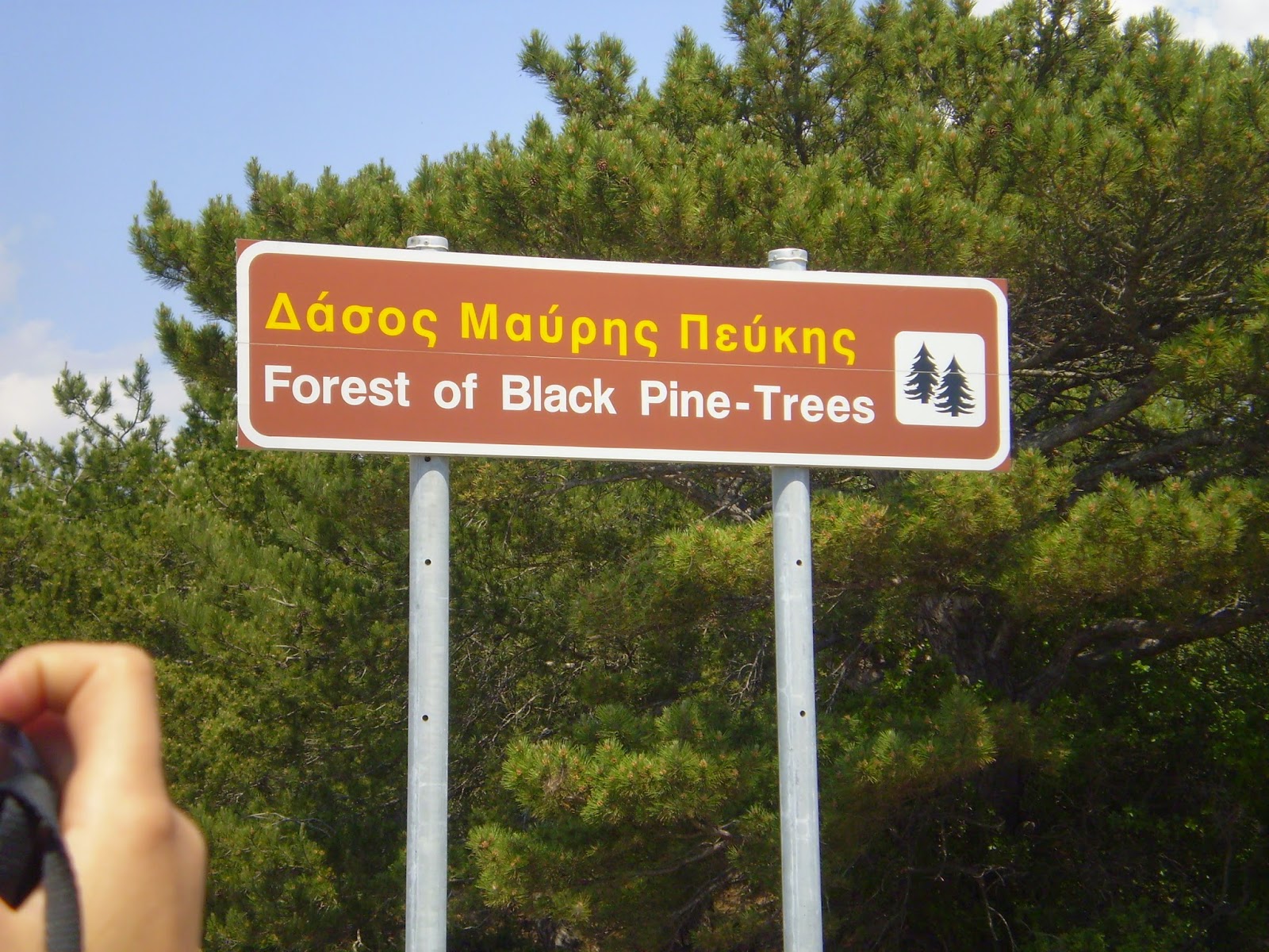 ΣΥΝΔΕΣΜΟΣ ΑΠΟΣΤΡΑΤΩΝ ΣΩΜΑΤΩΝ ΑΣΦΑΛΕΙΑΣ Ν.ΡΟΔΟΠΗΣ "Η ΑΓΙΑ ΕΙΡΗΝΗ ...