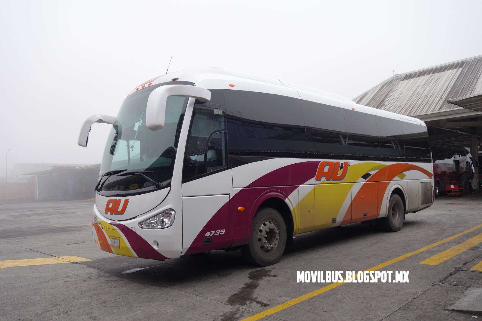 Fotografías de los autobuses con los que Grupo ADO renueva sus servicios