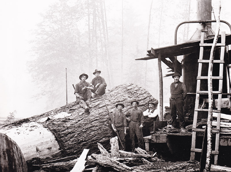 Amazing Vintage Photographs Document Logging and Lumber Activities in ...