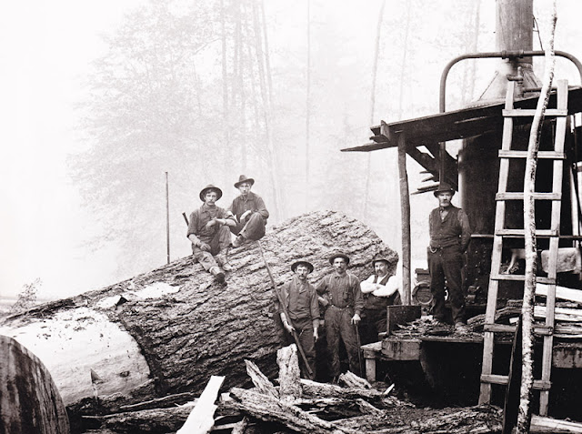 Amazing Vintage Photographs Document Logging and Lumber Activities in ...