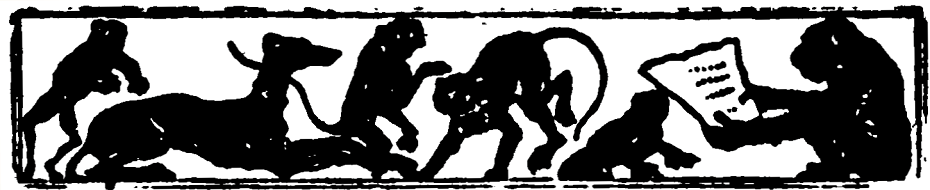 No està escrit en marbre: "Me gustan las palabras" (Mario Merlino)