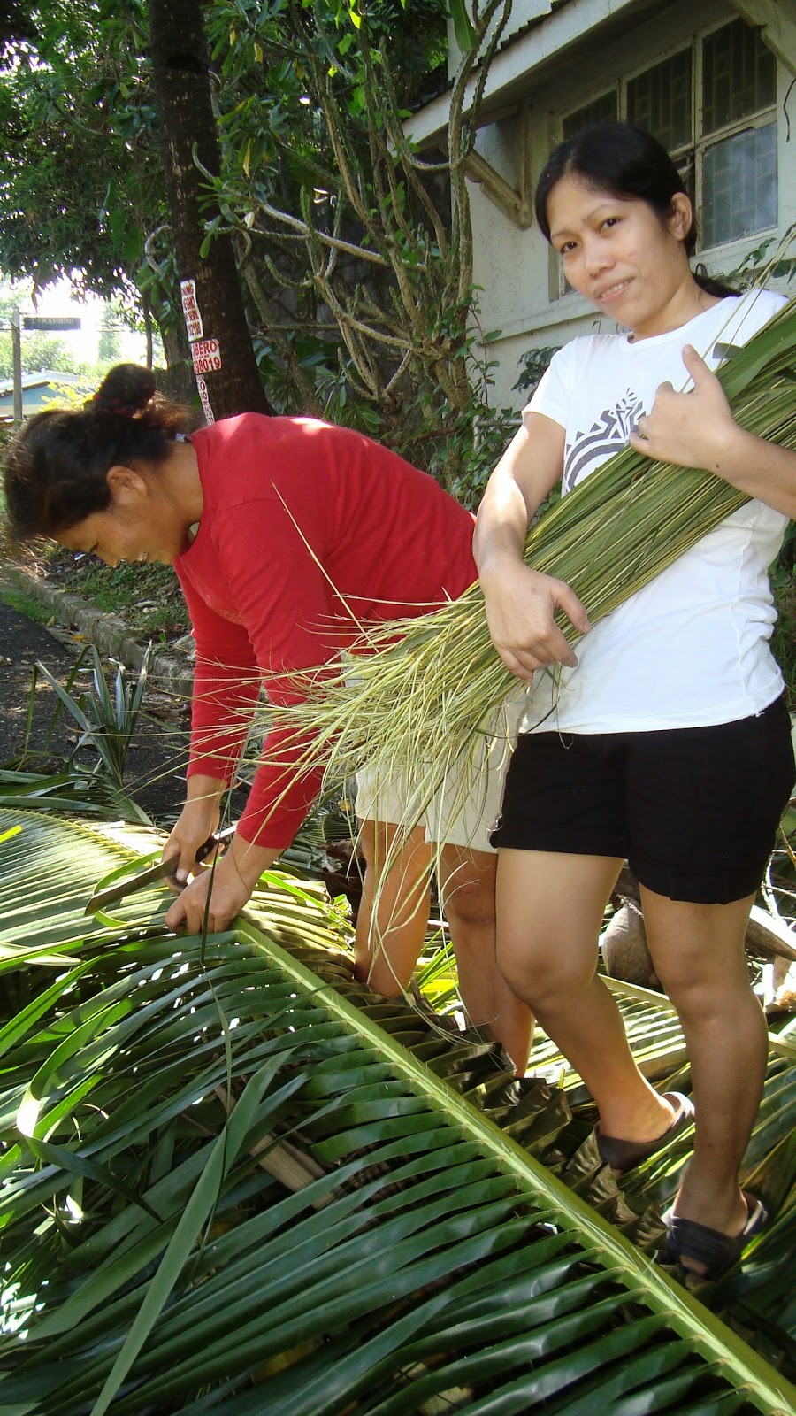 Living with Nature - School on Blog by Dr. Abercio V. Rotor: Make your ...