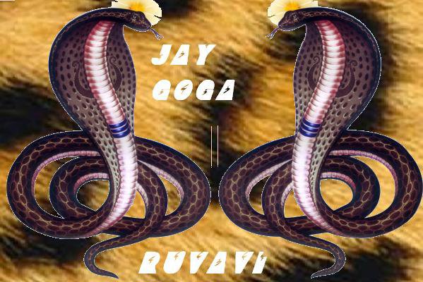 Goga maharaj HD Photo | Goga maharaj HD Wallpaper - HD Wallpaper