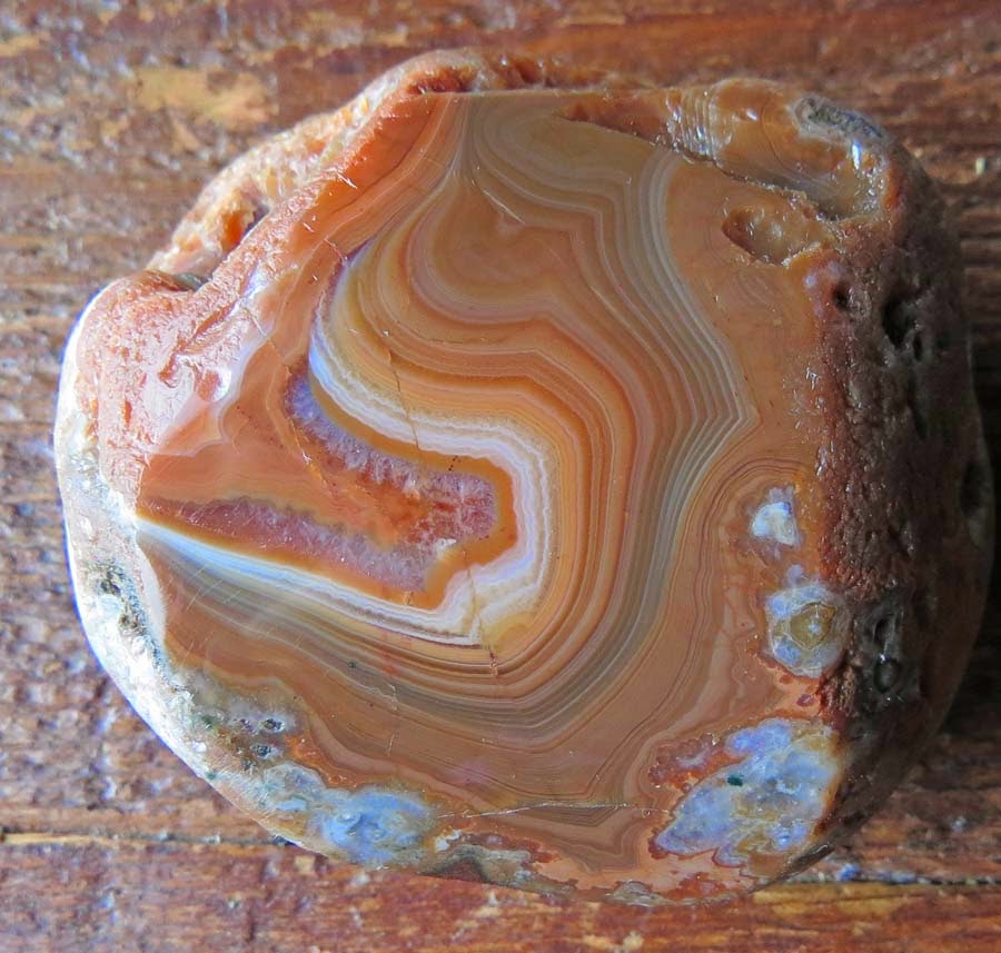 The Agatelady: Adventures and Events: Nice Local Agate Find