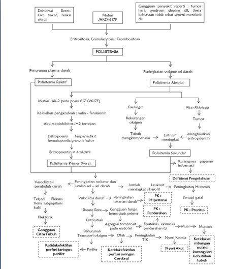 Asuhan Keperawatan dan LP: POLISITEMIA