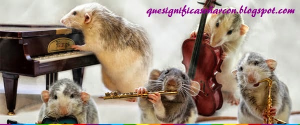 QUE SIGNIFICA SOÑAR CON RATAS BEBES - Sueños con ratas