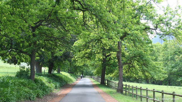 Rustenberg Wine Estate - WineTourismZA South Africa