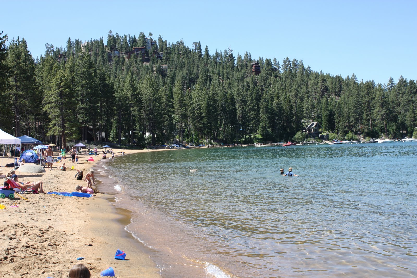 Sophia's Big Adventures: Zephyr Cove - Lake Tahoe