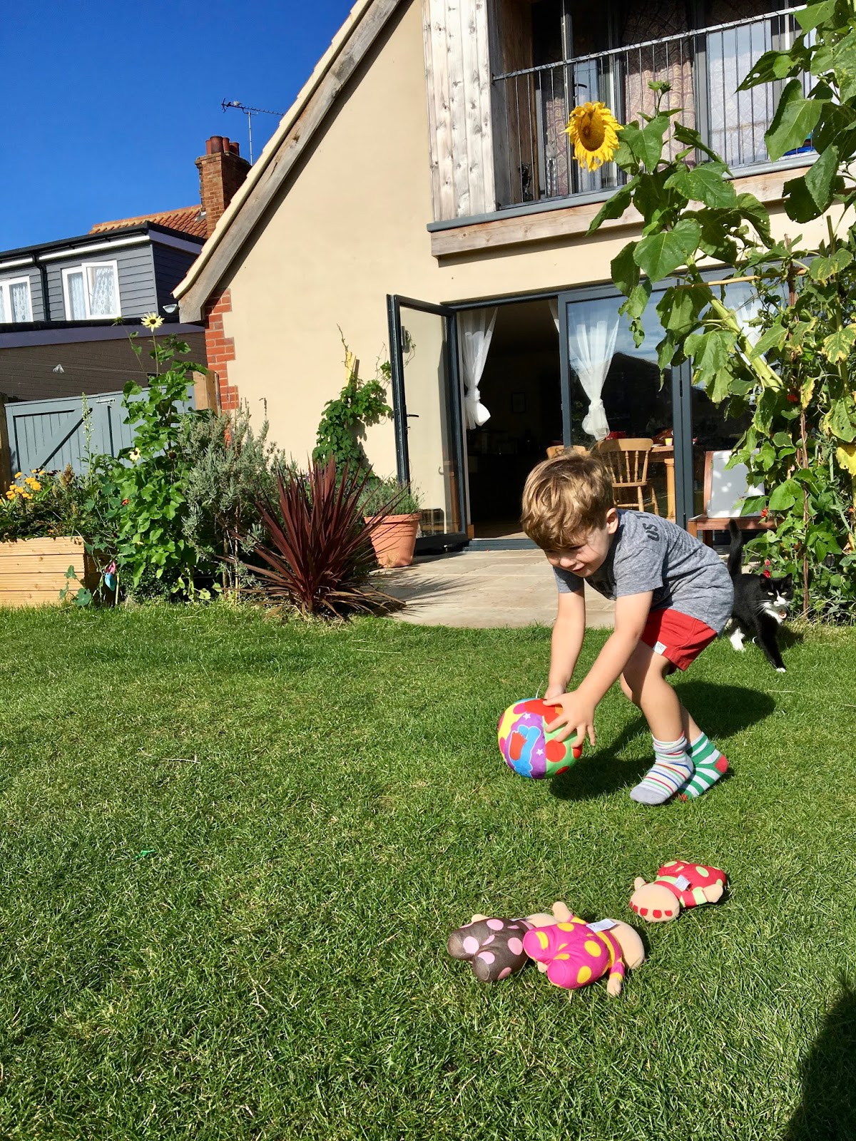 Hannah and The Mini Beasts: In The Night Garden Large Motion Sensory ...