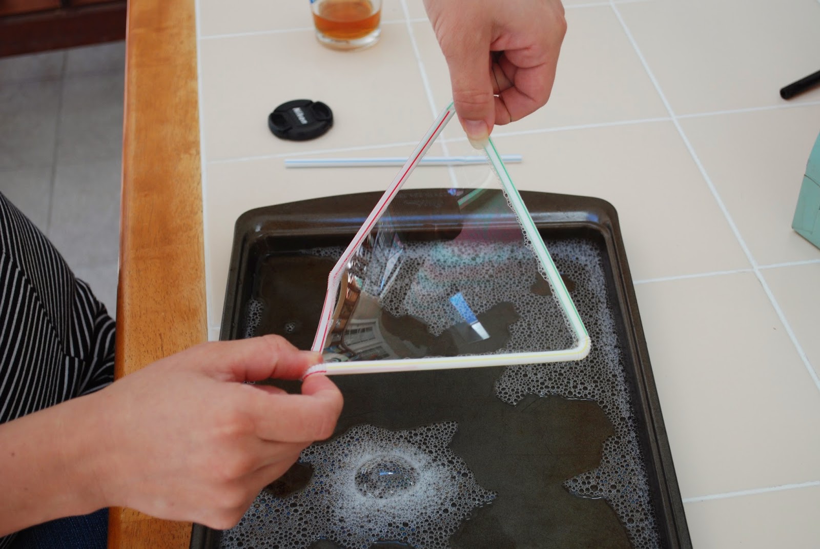 Nitty Gritty Science: Bubble Plasma Membrane Demo