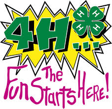 Bonneville County 4-H: 4-H online open for registration!