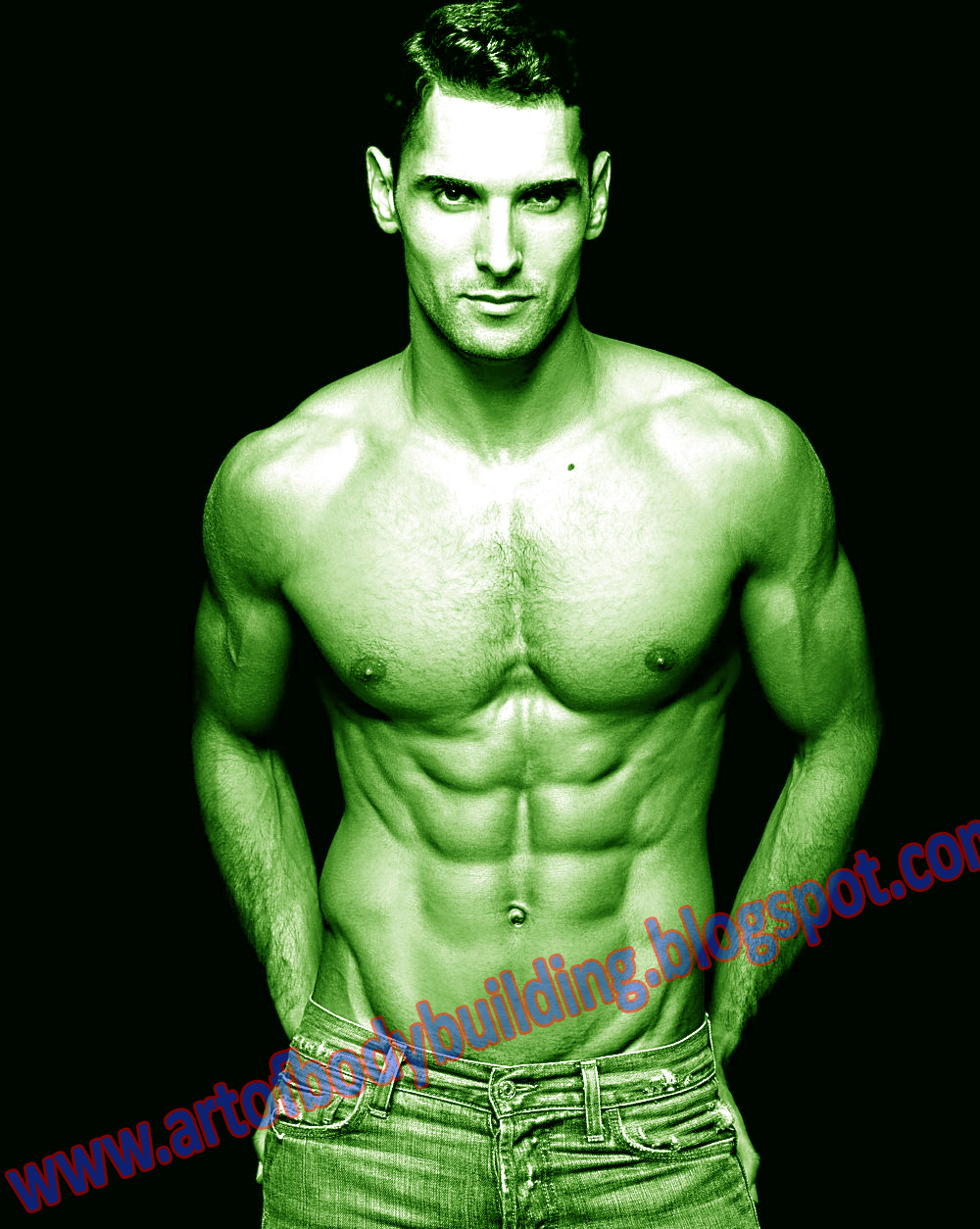 Overseas Fitness Gym - Bodybuilding Tips - Muscle Workout Routines A ...