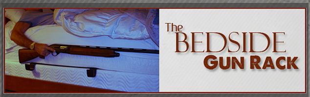 Writog: Gunning For Ad Dollars