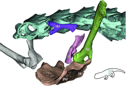 Virginia Tech Ichthyology Class : Unique Waterfall Climbing Cave Fish ...