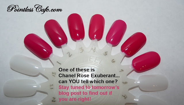 Chanel Rose Exuberant and Comparisons | Pointless Cafe