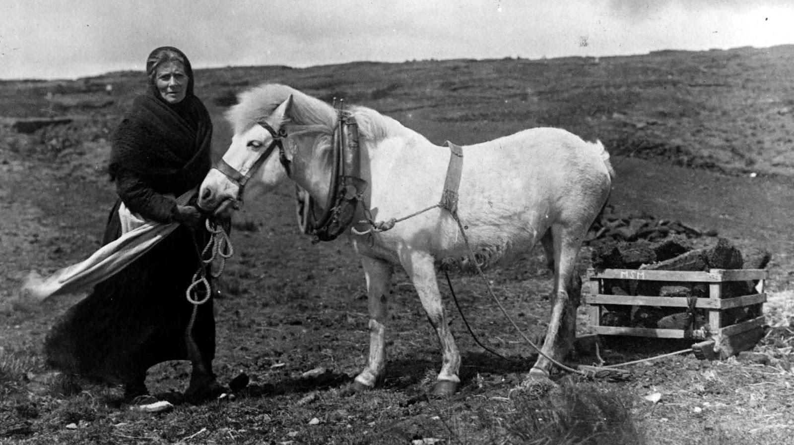 Tour Scotland: Old Photograph Crofter And Pony Shetland Scotland