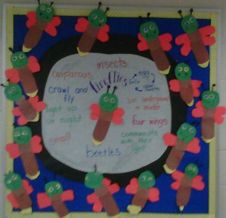 Insect planner - Mrs. Jump's Class