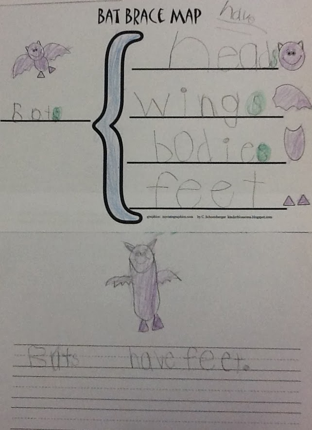 Christina's Kinder Blossoms: Bat Brace Map and More!!