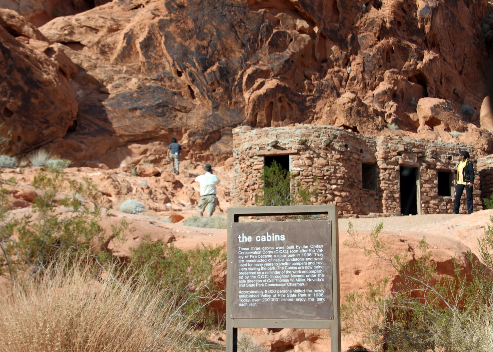 Dennis and Holly never stay home!