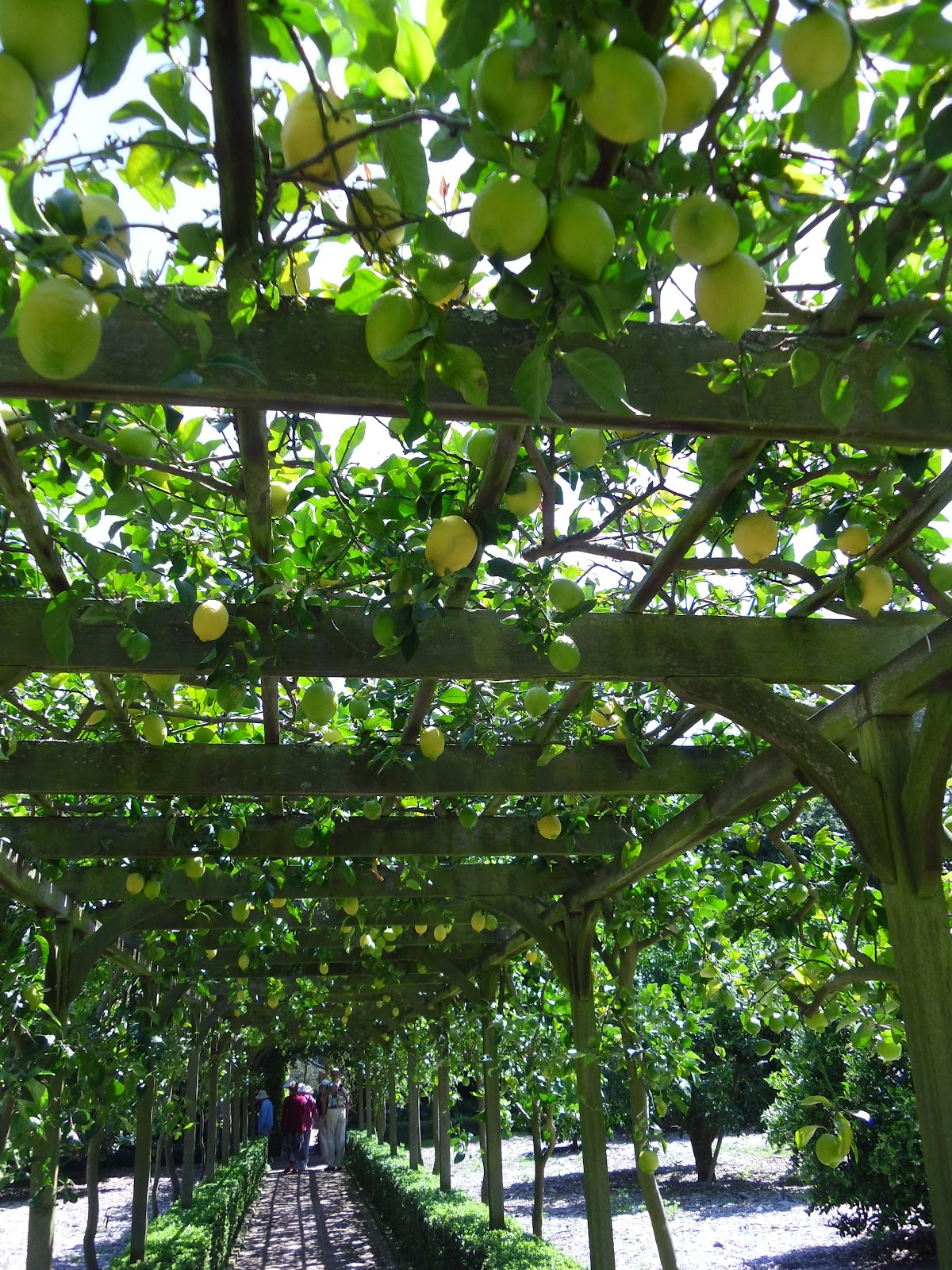 Calhouns Can(n)ons: Lotusland