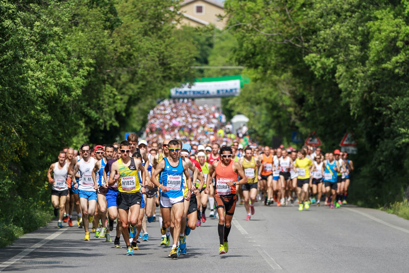 Run Zanger, Run!: Maratonina di Trieste 2013 - Bavisela