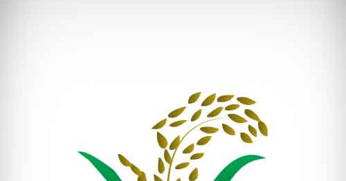 paddy vector-1 - designway4u | designway4u