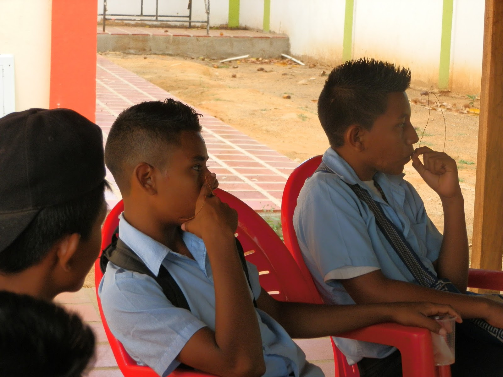 RED DE INVESTIGADORES INDÍGENAS: Los instrumentos musicales wayuu