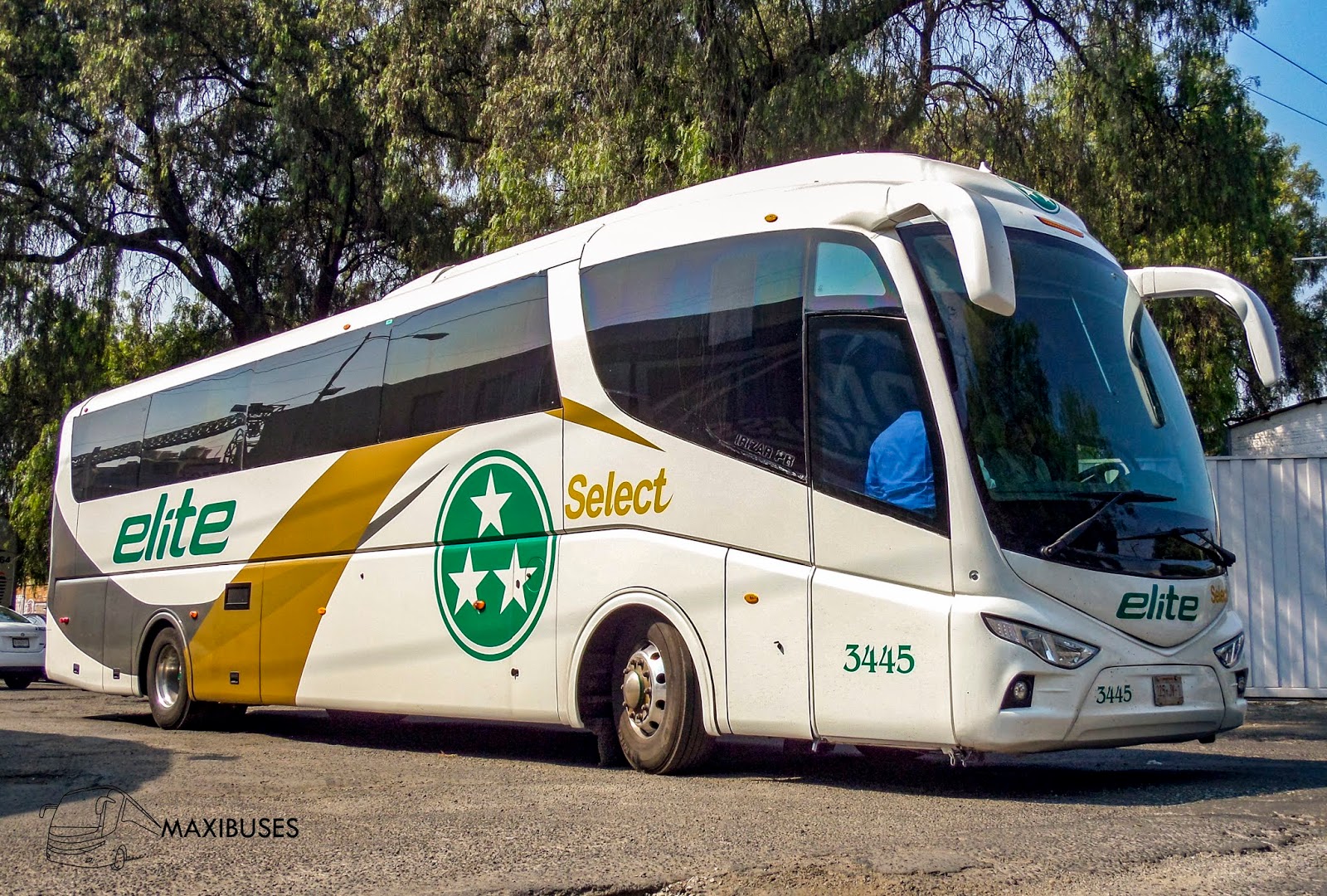 MAXIBUSES: ELITE SELECT