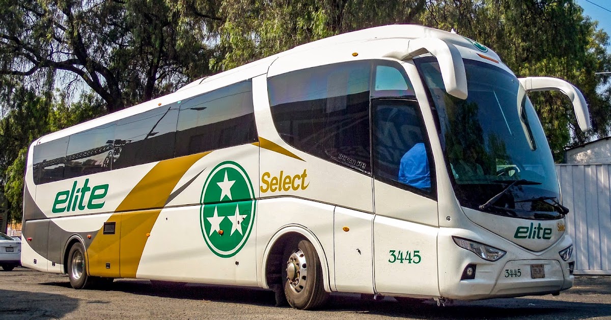 MAXIBUSES: ELITE SELECT