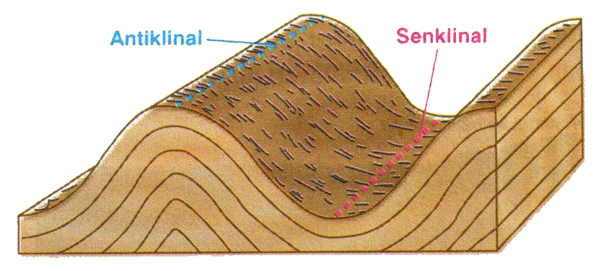 TEKTONISME - Belajar Geografi