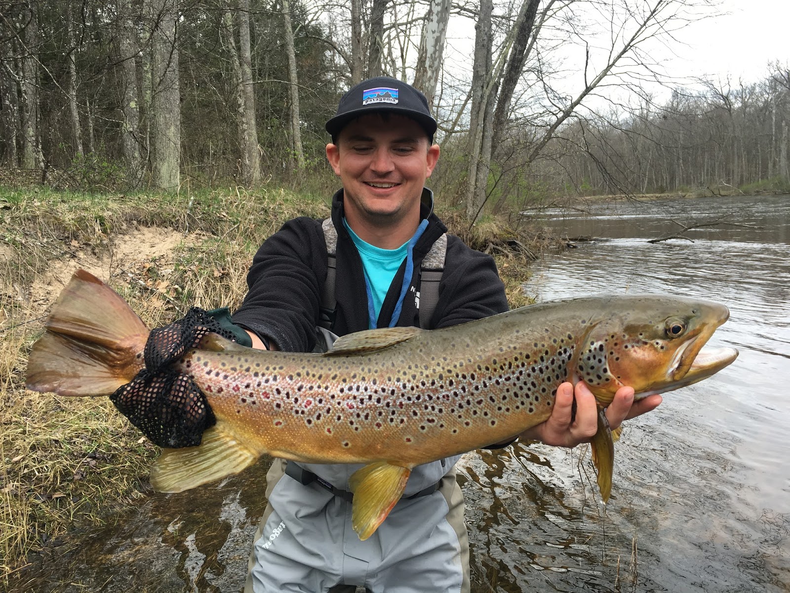 Its finally spring!- spring steelhead run going strong-May will be ...