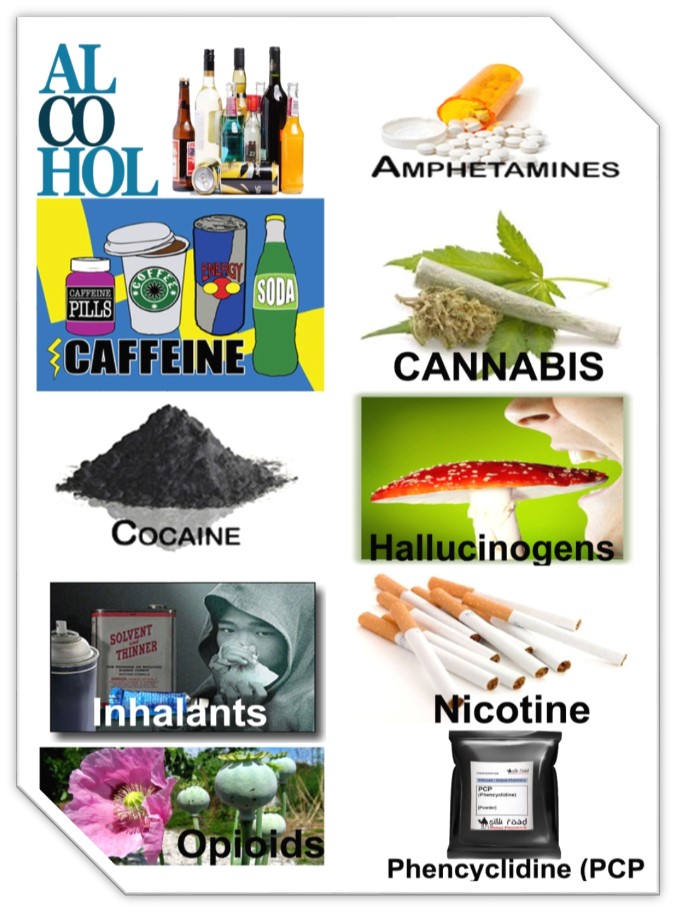 Substance use and misuse. (Substance abuse) - Brain's Health.