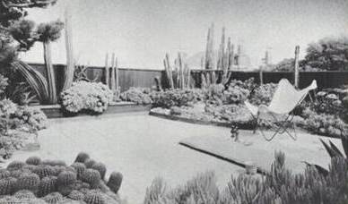 Paisajismo, pueblos y jardines: THOMAS CHURCH (1902-1978)