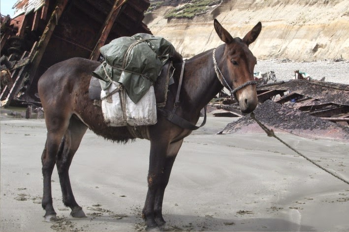 MASJID TAMAN KOSAS: APA ITU BAGHAL?