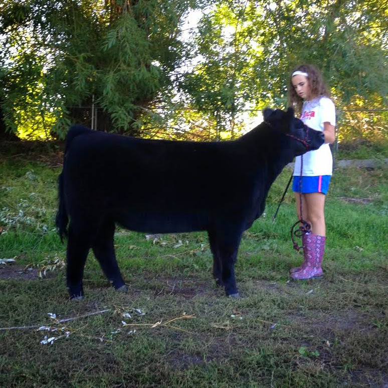 Bushman Cattle Company