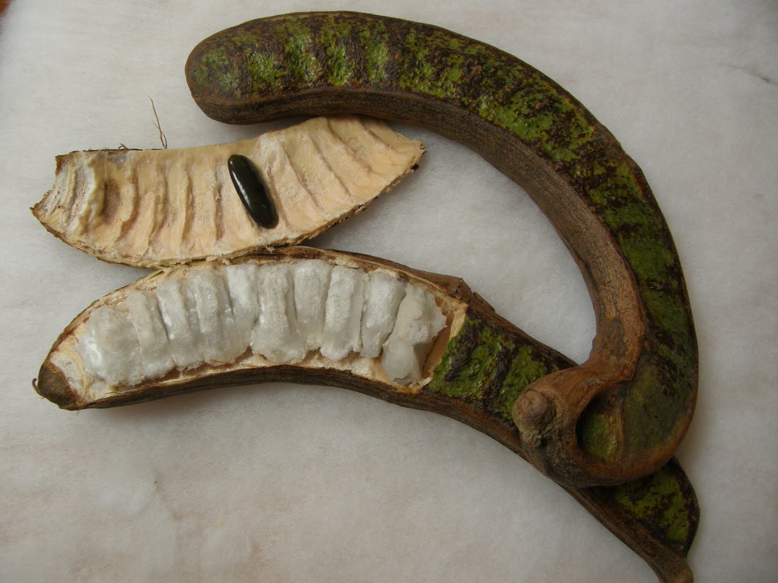 BOATBUMMS LOG: Tropical Fruits