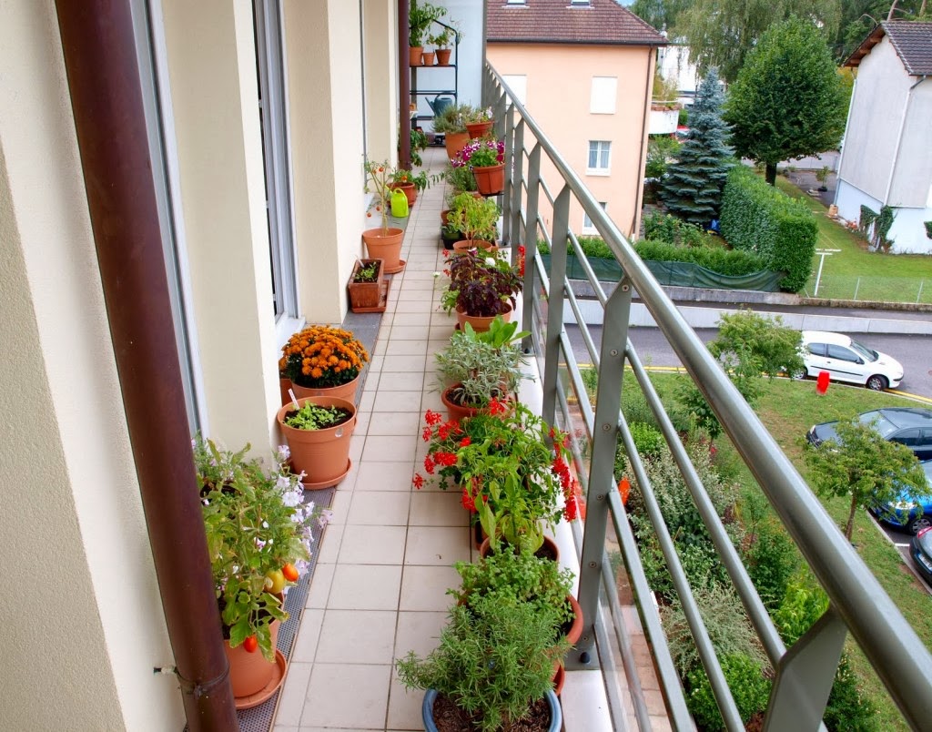 Comment Faire Un Jardin De Balcon ~ Comment Fait