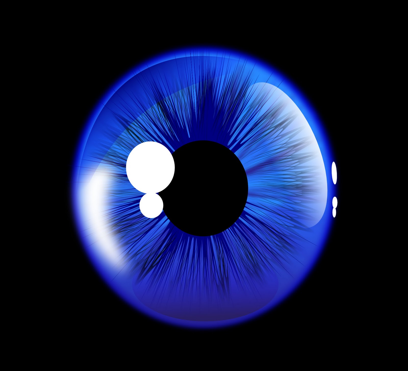 Montagem: O Olho e a Visão by Steve Parker.