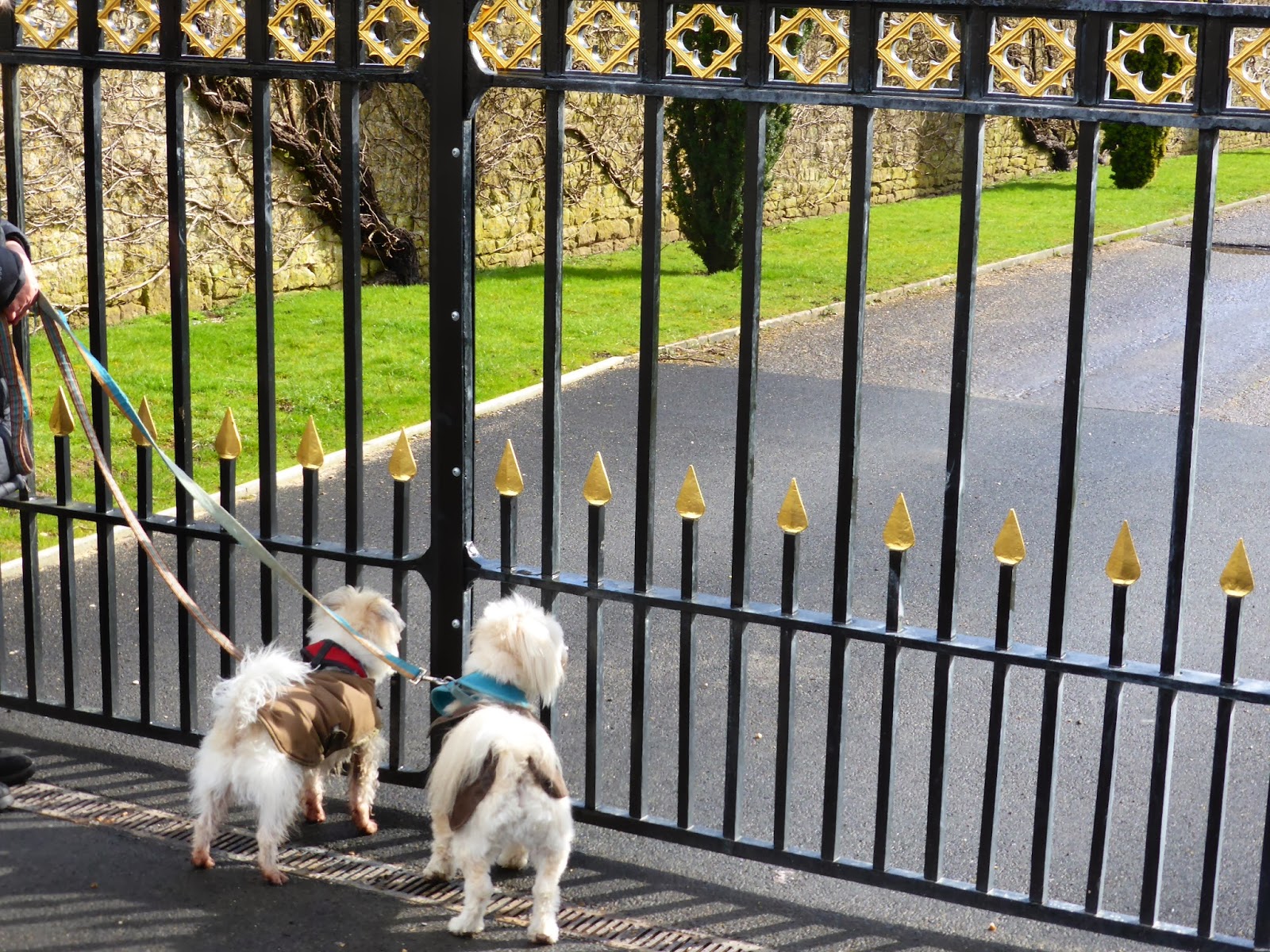 The 'Manly Ferry' blog: Out and About