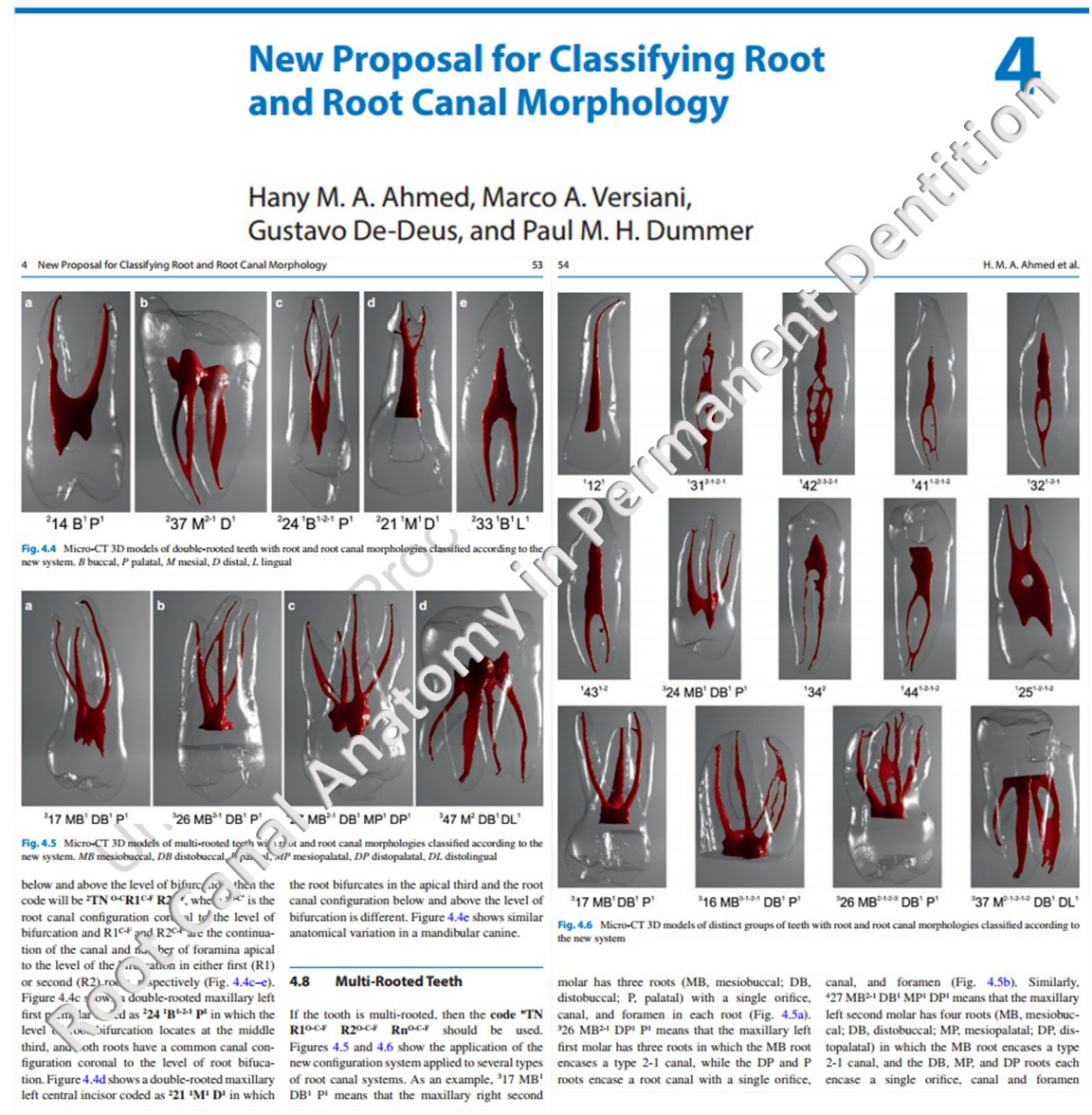 The Root Canal Anatomy Project: 2018