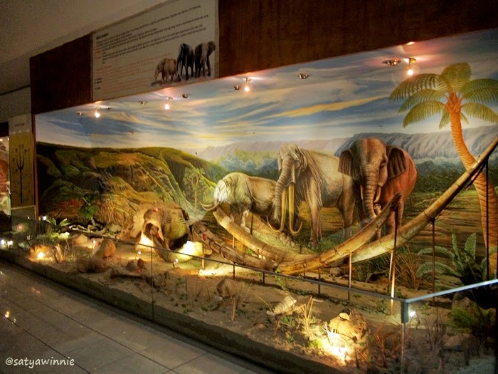 Mengenal Jejak Manusia Purba di Museum Sangiran — Satya Winnie