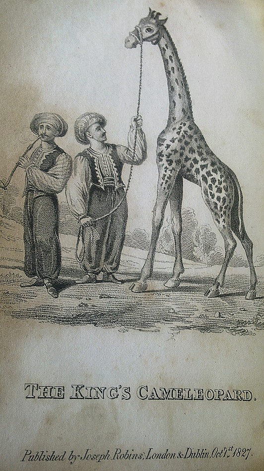 Shaping the Facts by Author Margaret Porter: Brief History of the ...