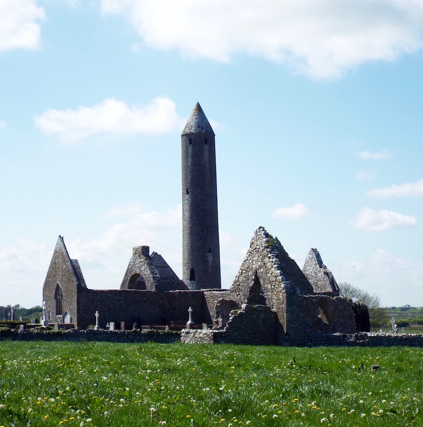 A Heron's View: Ireland's Leaning Tower