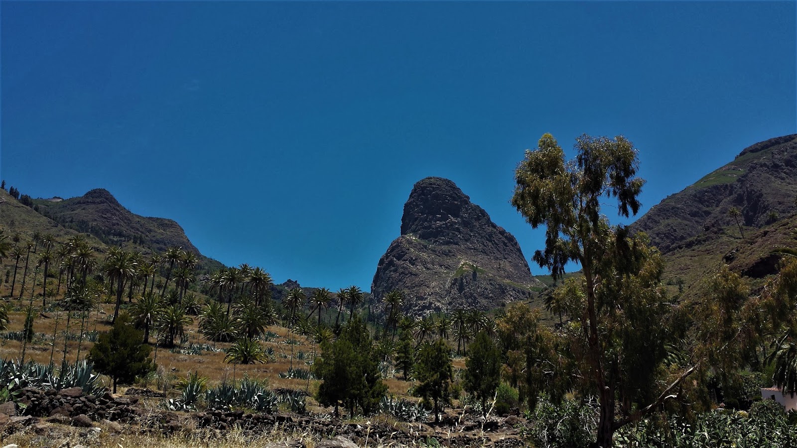 Reserva Natural Integral de Benchijigua