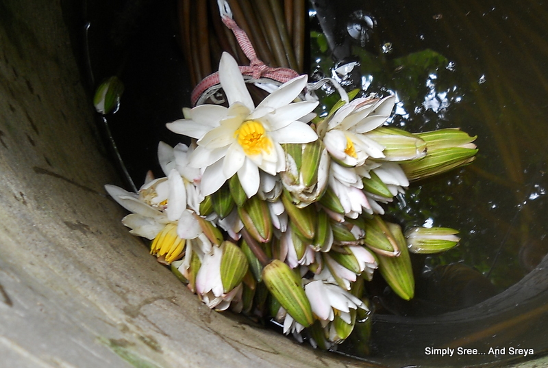 Life in Pictures: Day 261 ~ Sep 18 - Kaluva Poolu