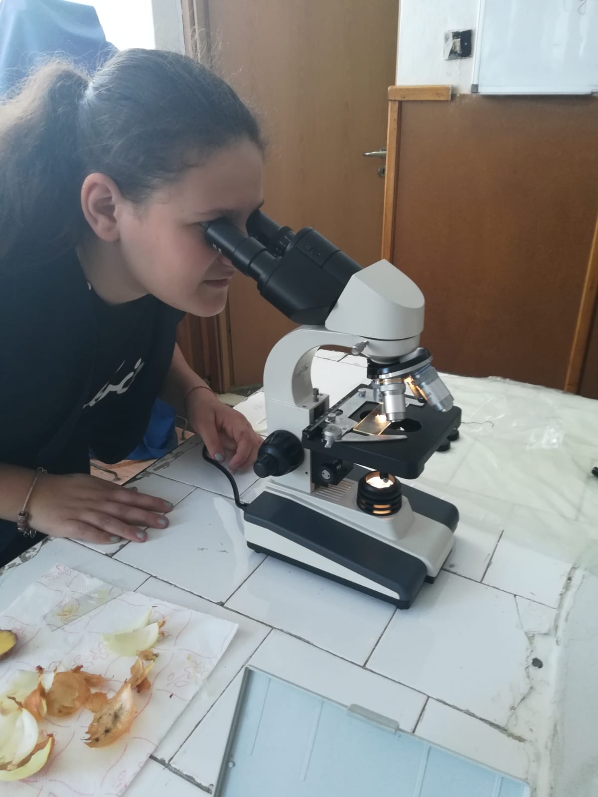 Micii cercetatori: 2019