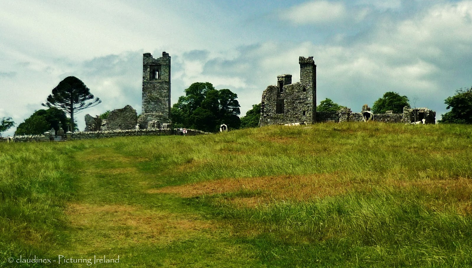 Picturing Ireland : Built on Rock´n´Roll: Slane Castle, Co. Meath