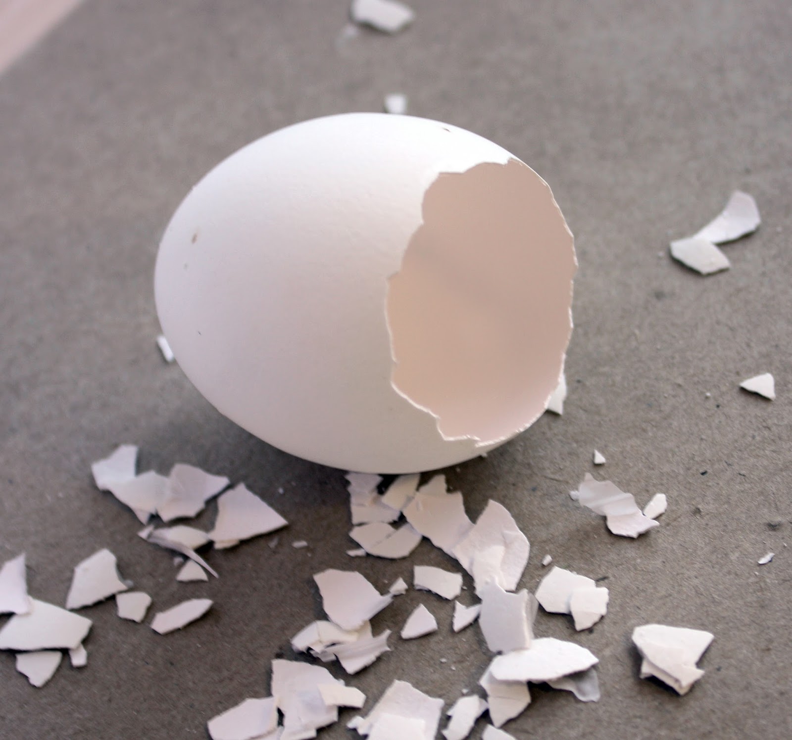 Imaginarium Designs: Flower pots from eggshells (tutorial) and a card ...