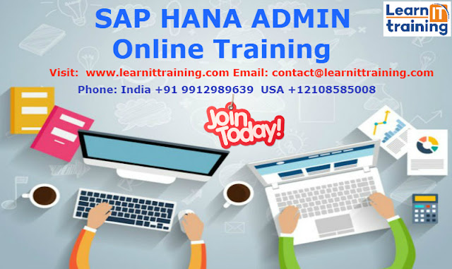 SAP HANA ADMIN Tools | Pioneer SAP HANA ADMINISTRATION