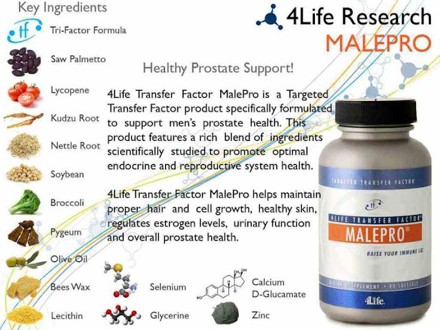 4LIFE MALAYSIA: 4Life Transfer Factor Male Pro